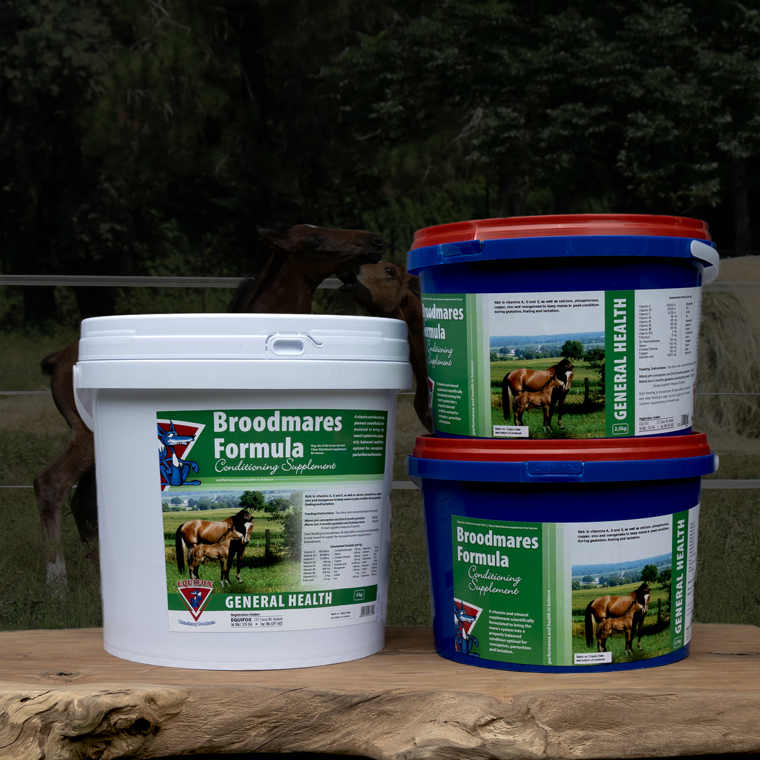 Equifox Broodmares Formula – BarnLife Online