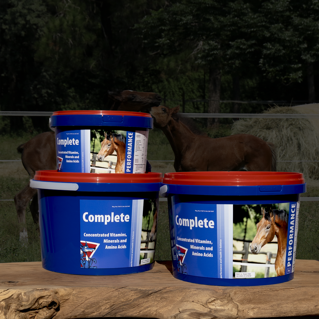Equifox Complete Vitamin Supplement – BarnLife Online