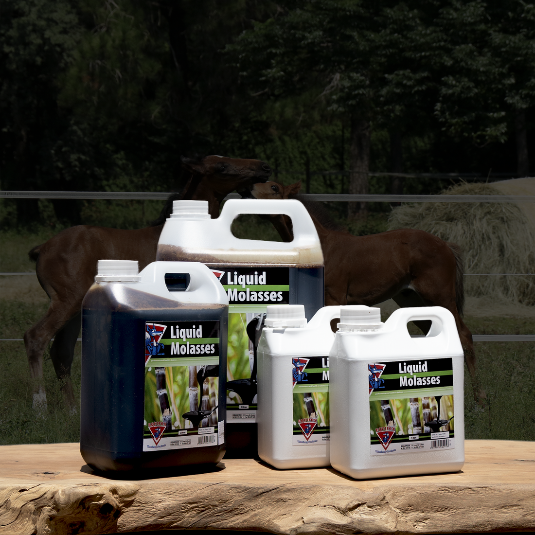 Equifox Liquid Molasses – BarnLife Online