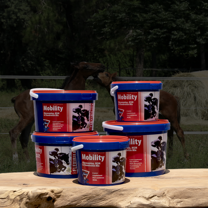 Equifox Mobility – BarnLife Online