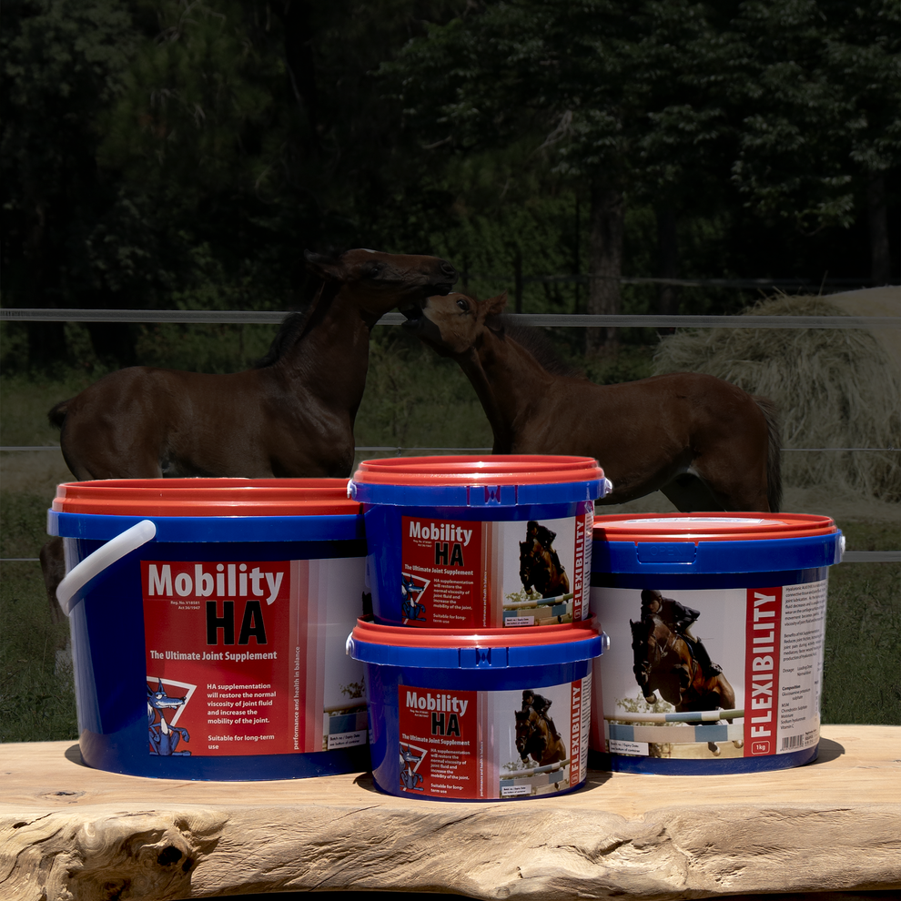 Equifox Mobility HA – BarnLife Online