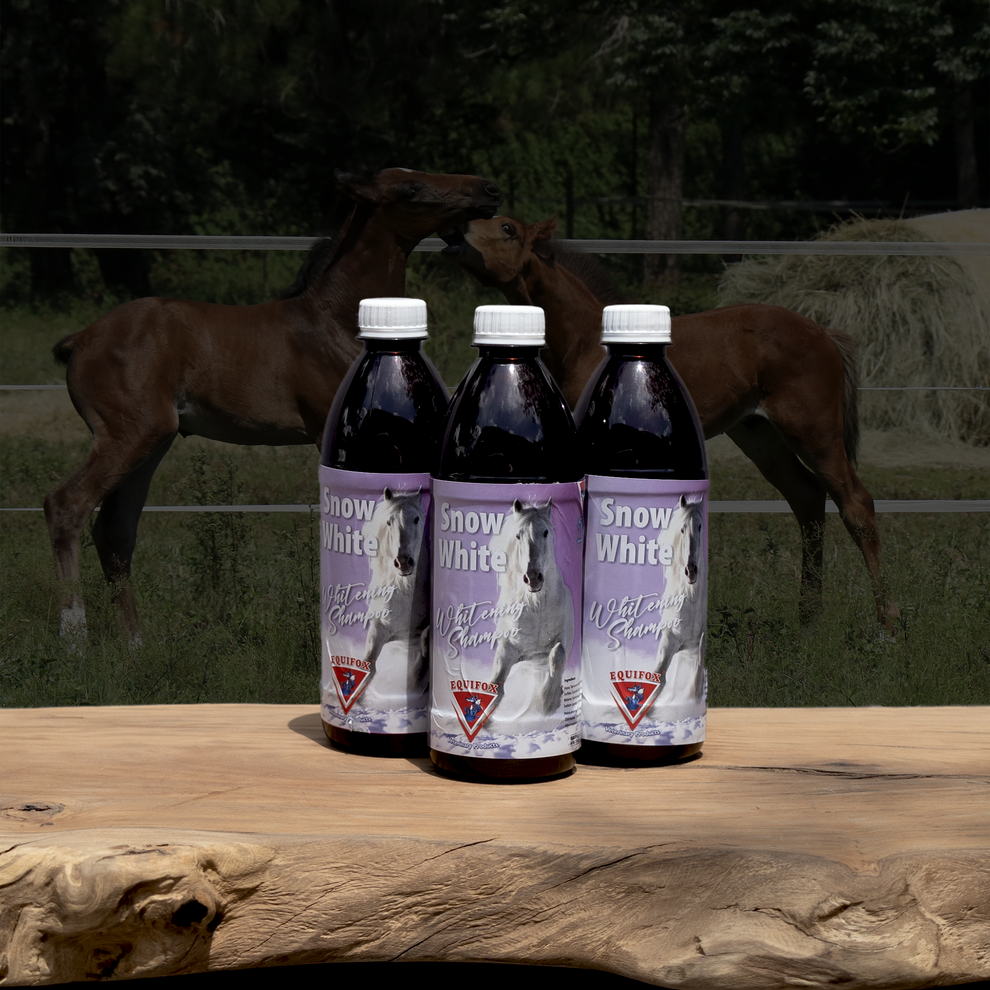 Equifox Snow White Shampoo – BarnLife Online